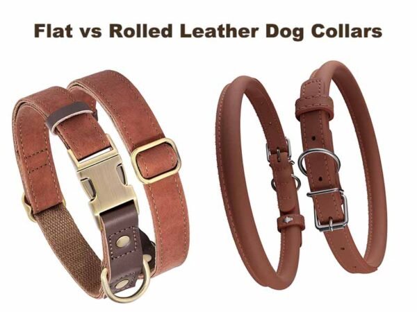 Flat vs Rolled Leather Dog Collars: Comfort and Use Cases